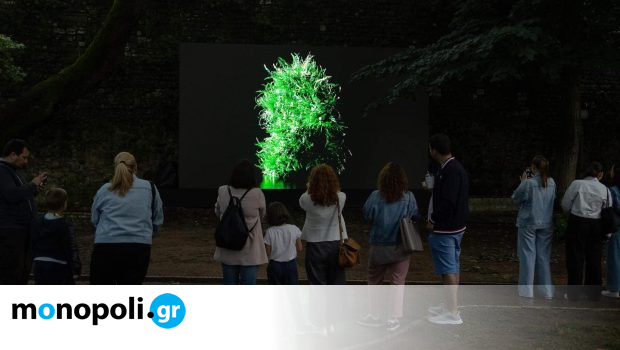 Plasmata ΙΙ: Μια εικαστική νησίδα στη λίμνη των Ιωαννίνων