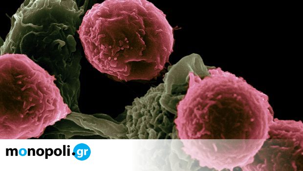 Αφιέρωμα: Ας μιλήσουμε -χωρίς φόβο- για τον καρκίνο - monopoli.gr