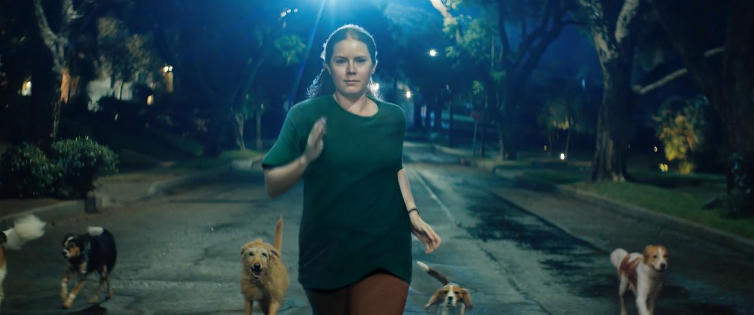 Nightbitch: Η νέα ταινία της Amy Adams έρχεται στο Disney+ - monopoli.gr